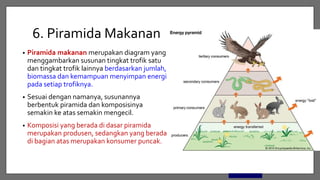 1. Konsep Dasar Ekologi dan Penyusun Ekosistem (TM 1,2).pdf