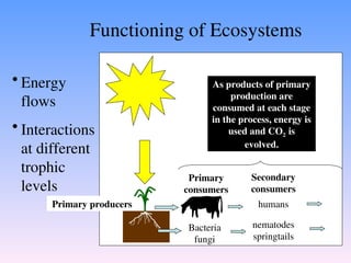 Ecology, Agriculture, & Soils Importance of Soil Organic matter Soil ...