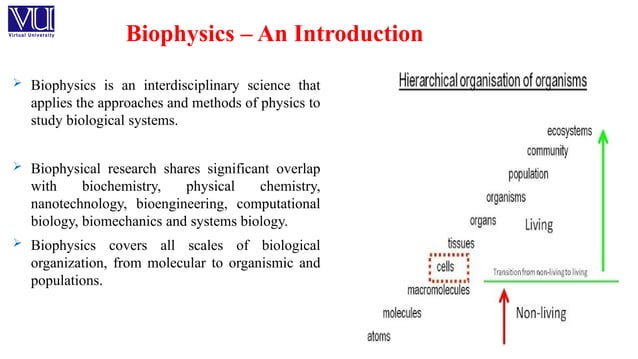 1. Biophysics – an introduction.. I.pptx