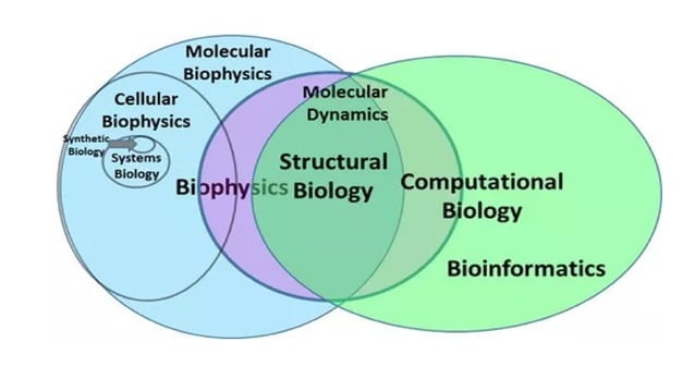 1. Biophysics – an introduction.. I.pptx