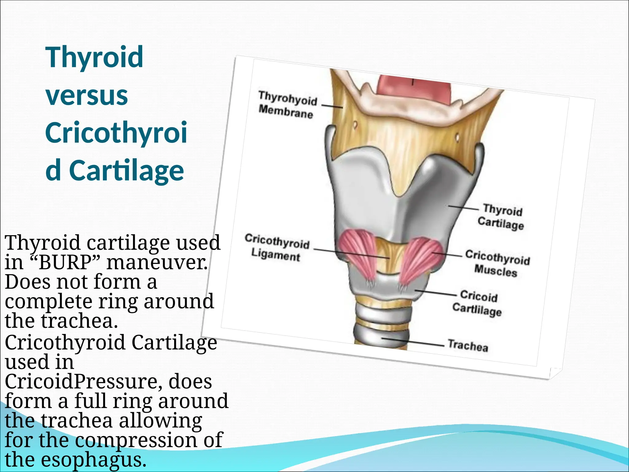 1.AIRWAY ASSESSMENT LOOK, LISTEN, FEEL: Mallampati, LEMON, neck ...