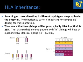 1.Introduction and basics of HLA by dr pdf | PPT