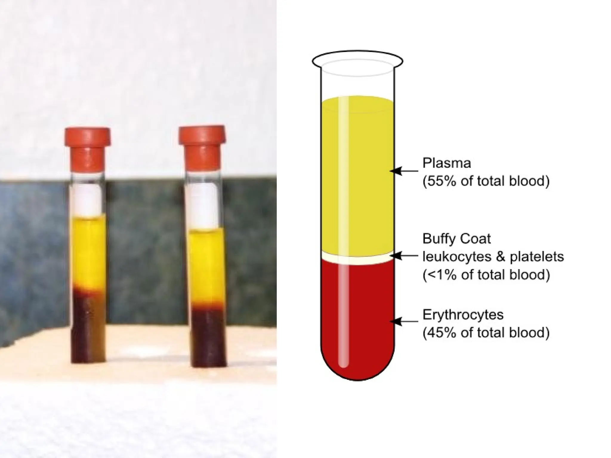 علم اd,.dmdmd,dm.,dmd,.لدم نسرين - م1.pptx