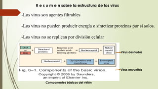 Presentación de generalidades de los virus2022.pptx