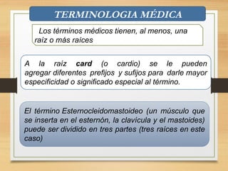1.terminologia medica conceptos.ENFERMERIA BASICA | PPT