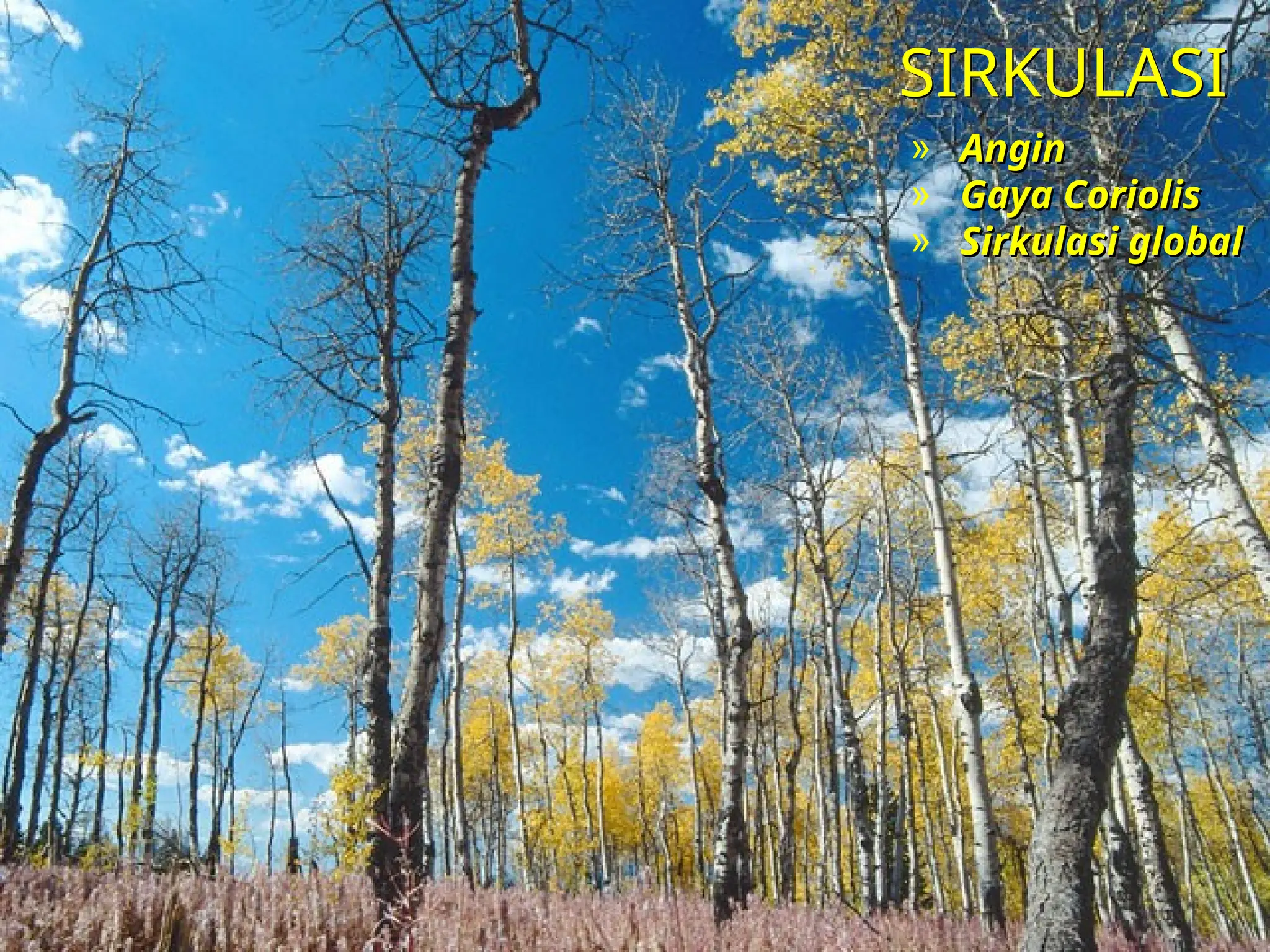 1. Sirkulasi Umum Atmosfer.pptkebumian24 | PPT