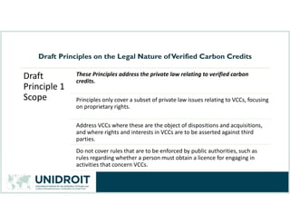 9th Strategic Dialogue of the Carbon Market Platform - Giulia Previti | PDF