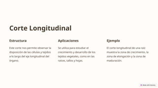 1.Histologia-en-Plantas.pptxplasdwdededd | PPTX