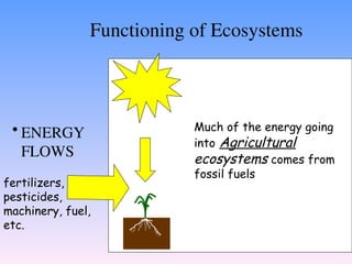 1. Understanding Ecology CAN.ppt