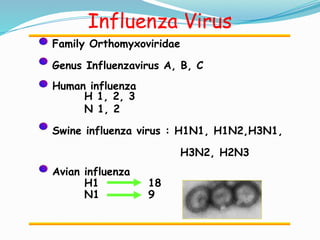 dr. Primal-Ppt Influenza BGU 5 Mei 2018.pptx