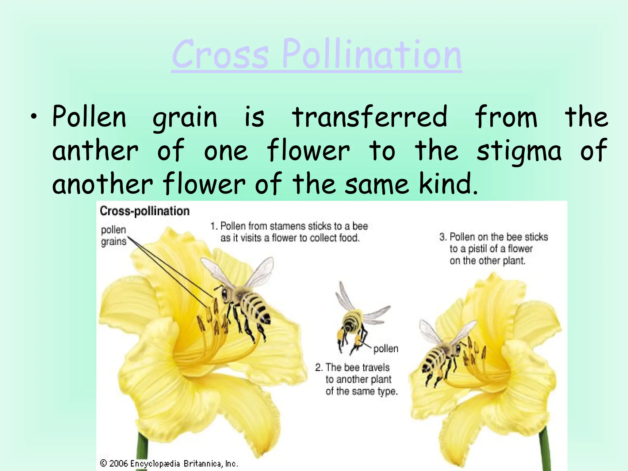 1. SCIENCE W-2 Pollination and Fertilisation.ppt