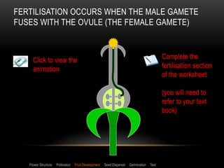 1. SCIENCE5 W-1 PARTS OF THE FLOWER.pptx