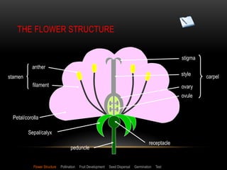 1. SCIENCE5 W-1 PARTS OF THE FLOWER.pptx