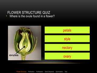 1. SCIENCE5 W-1 PARTS OF THE FLOWER.pptx