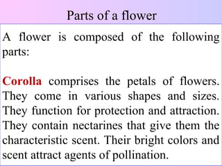 1. SCIENCE W-1 REPRODUCTIVEPARTSOFAFLOWER (1).ppt