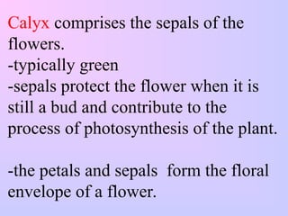 1. SCIENCE W-1 REPRODUCTIVEPARTSOFAFLOWER (1).ppt