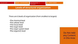 1. Introuction to human anatomy and physiology ppt .pptx