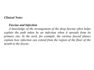 An introduction to the human anatomy for medical students | PPTX