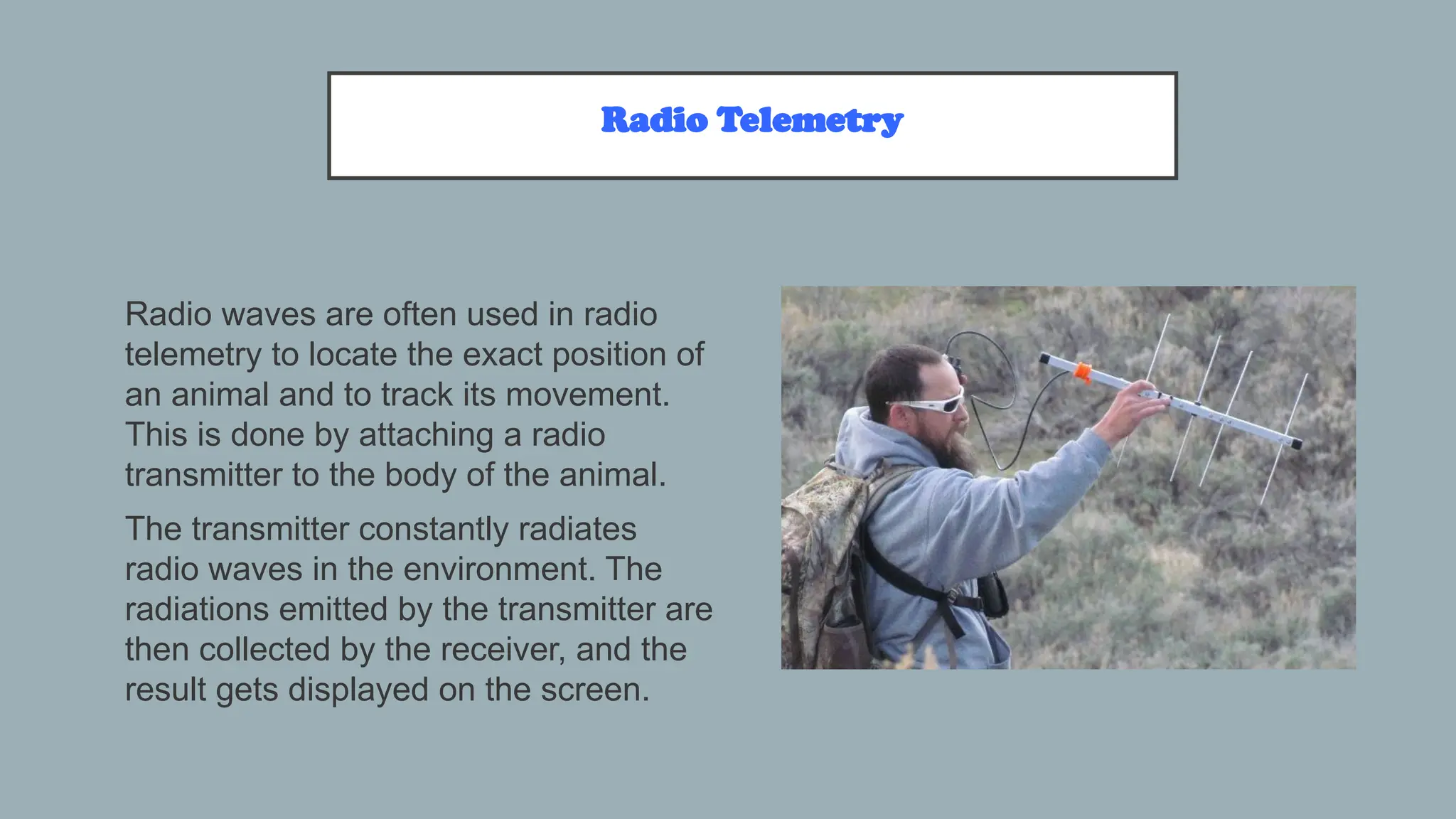 1.BASIC PHYSICS OF RADIATION (EM SPECTRUM AND UNITS).pptx BY RAVINDRA ...