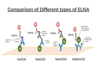 1. ELISA (ppt).pptx ENZYME LINKED IMMUNOSORBENT ESSAY | PPT
