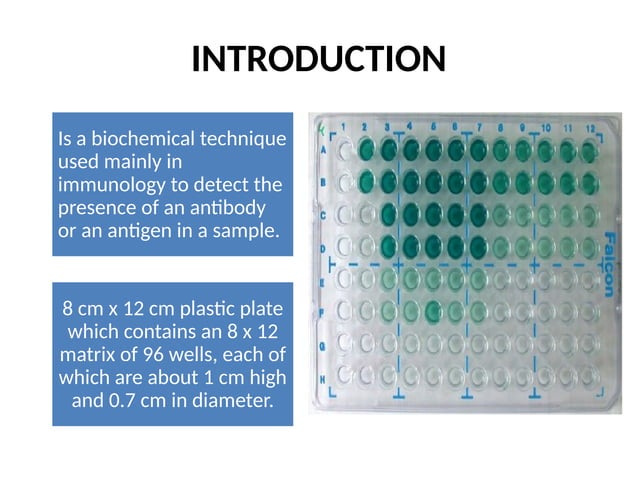 1. ELISA (ppt).pptx ENZYME LINKED IMMUNOSORBENT ESSAY | PPT
