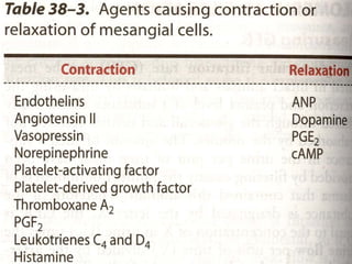 1. Introduction to Kidney and the renal circulation | PPT
