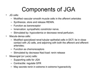 1. Introduction to Kidney and the renal circulation | PPT