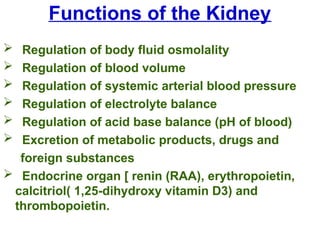 1. Introduction to Kidney and the renal circulation | PPT