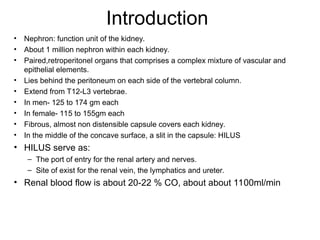 1. Introduction to Kidney and the renal circulation | PPT