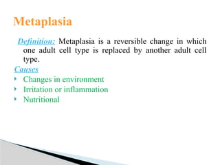 1.3. cellular adaptation. How cell adapt. | PPTX