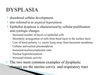 1.3. cellular adaptation. How cell adapt. | PPTX