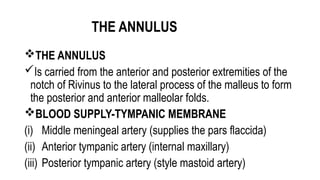 1.ANATOMY OF THE EAR.pptxgcgjjnhnyfzfjbun | PPTX
