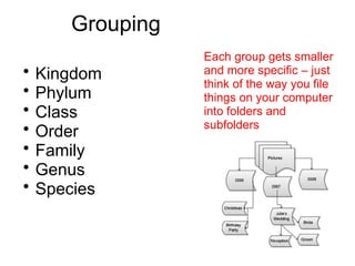 Taxonomy - Science of Classifying Organisms | PPTX