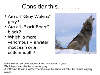Taxonomy - Science of Classifying Organisms | PPTX