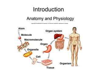 1. Introduction to anatomy and physiology | PPT