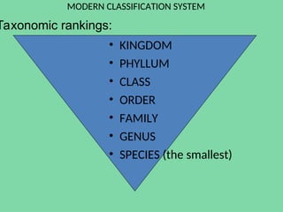 1.introduction to phycology for B.Sc students | PPT