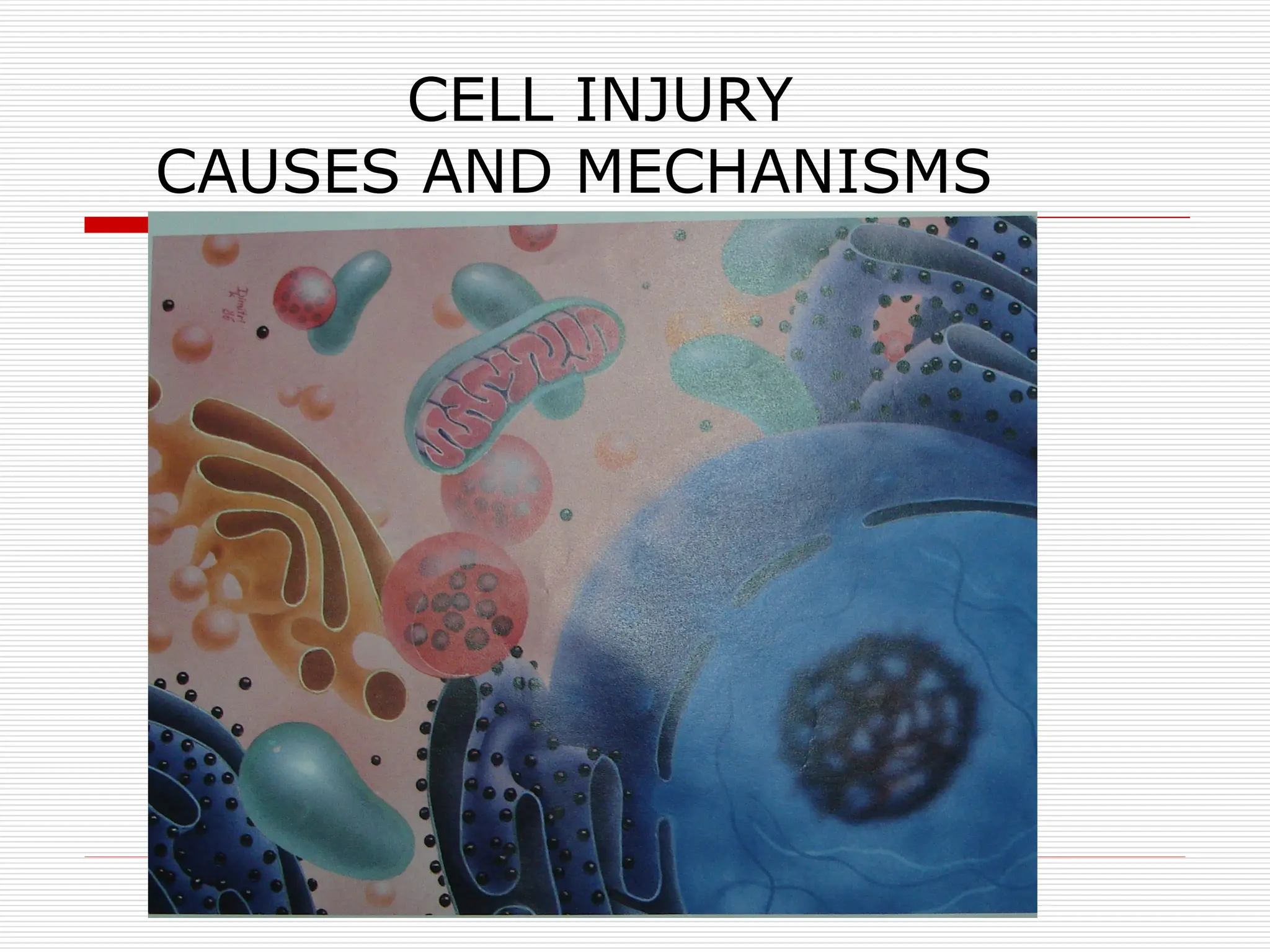Cell injury Etiology and pathogenesis of cell injury | PPT