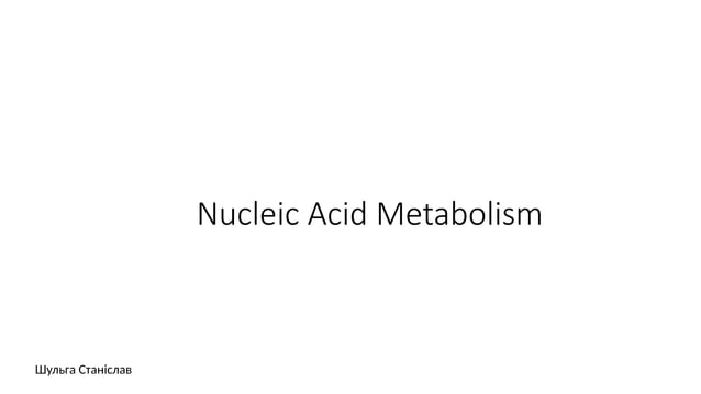 nucleic acid metabolism in the human body | PPT