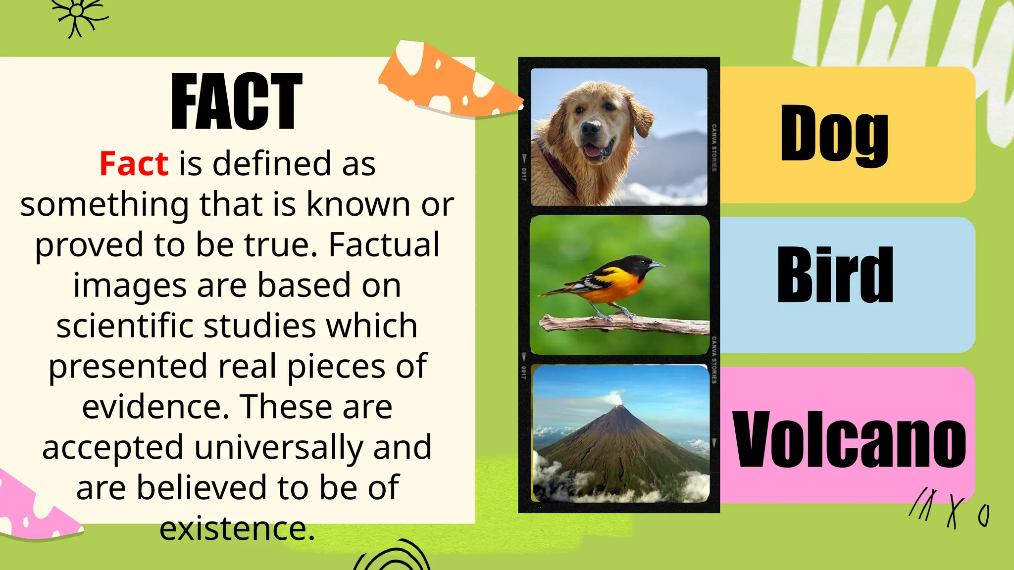 1. Identify Real or Make-Believe Images.pptx