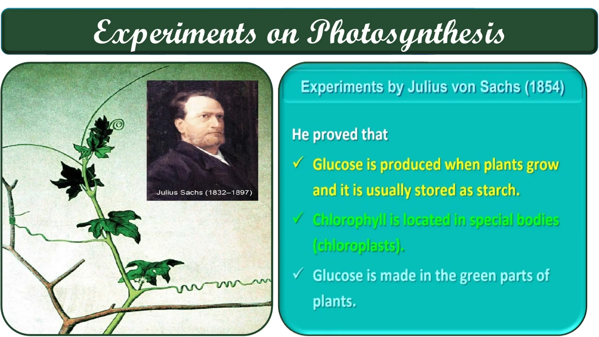 1. Photosynthesis, experiments on Photosynthesis.pptx