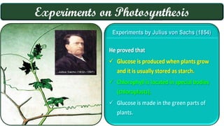 1. Photosynthesis, experiments on Photosynthesis.pptx