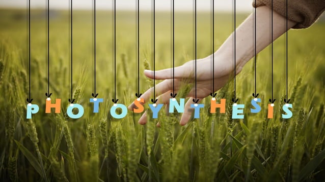 1. Photosynthesis, experiments on Photosynthesis.pptx