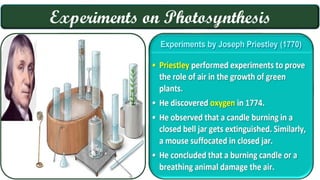 1. Photosynthesis, experiments on Photosynthesis.pptx