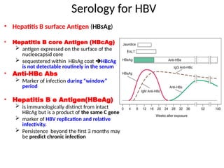 Introduction of hepatitis B virus (HBV).ppt
