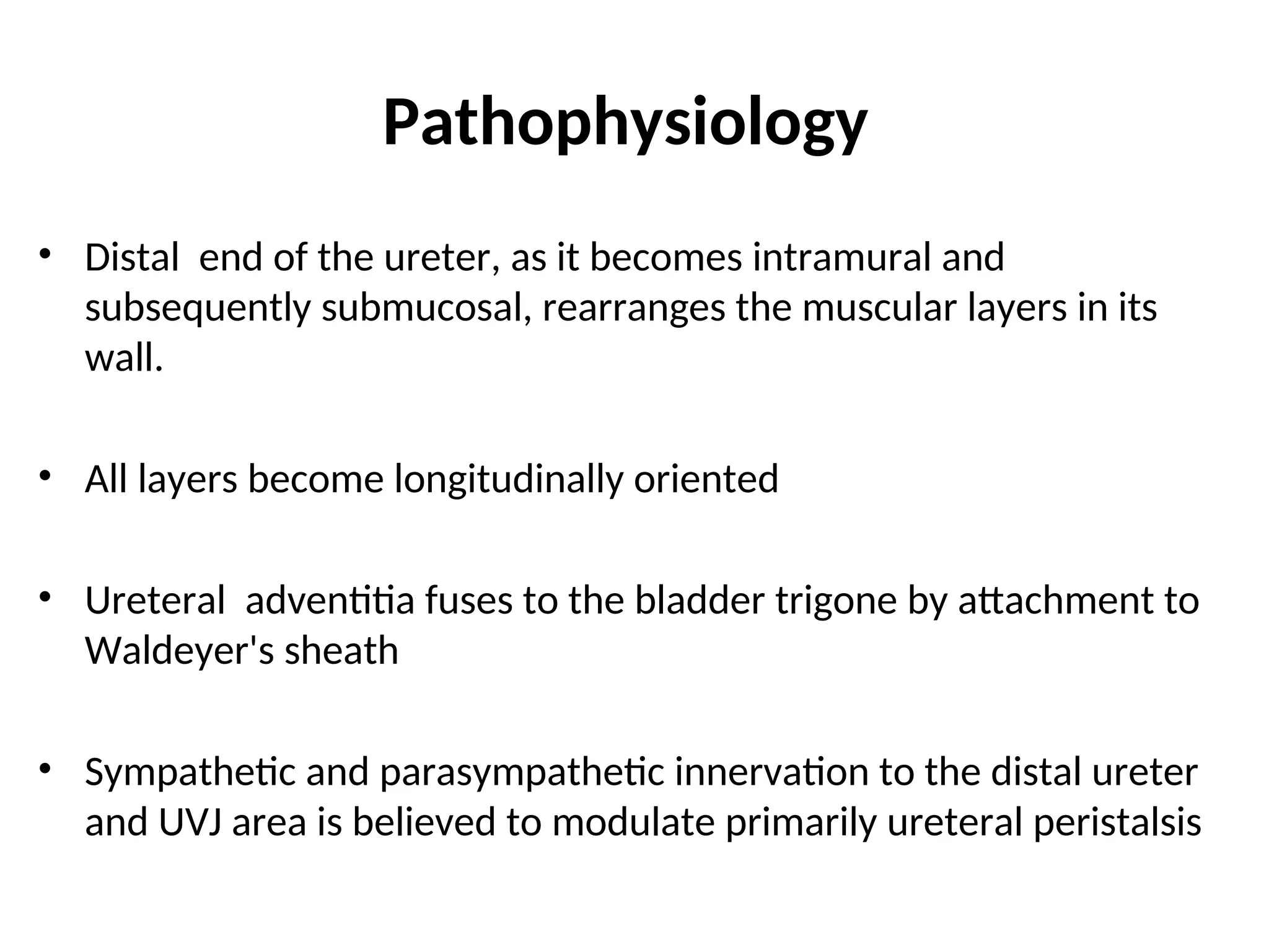 kidney and ureter anatomy and congenital | PPT