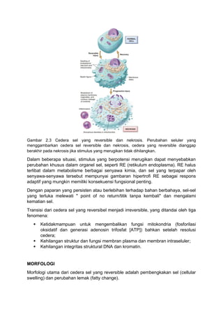 1. Jejas dan kematian sel.Bidang patologi untuk memahami penyebab ...