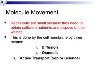 1.2-diffusion_and_osmosis as active transport.ppt