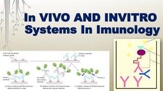 In VIVO AND INVITRO Systems TO STUDY THE HUMAN | PPT