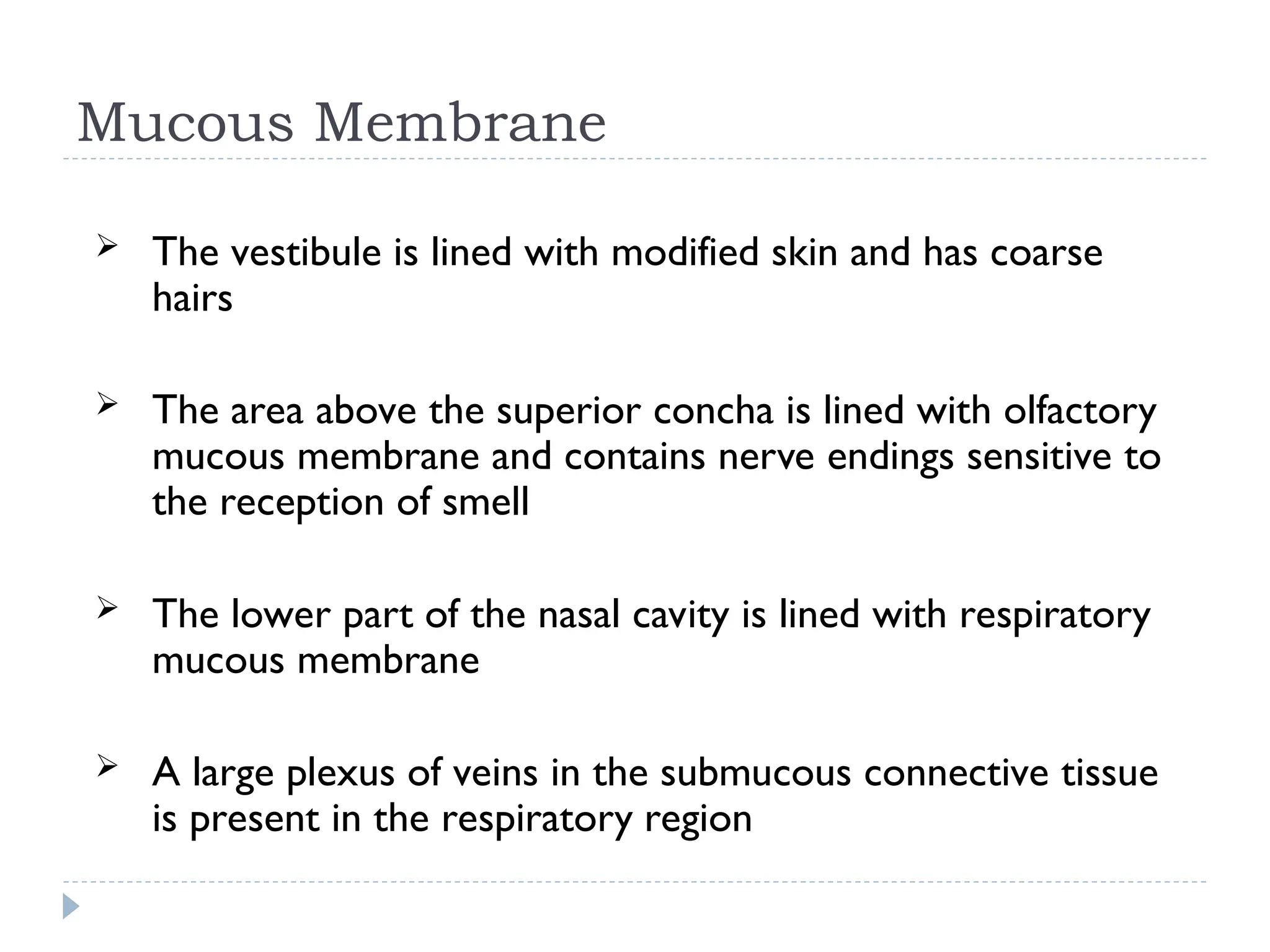 Anatomy of nose Part of ENT structure and it's well labelled | PPT