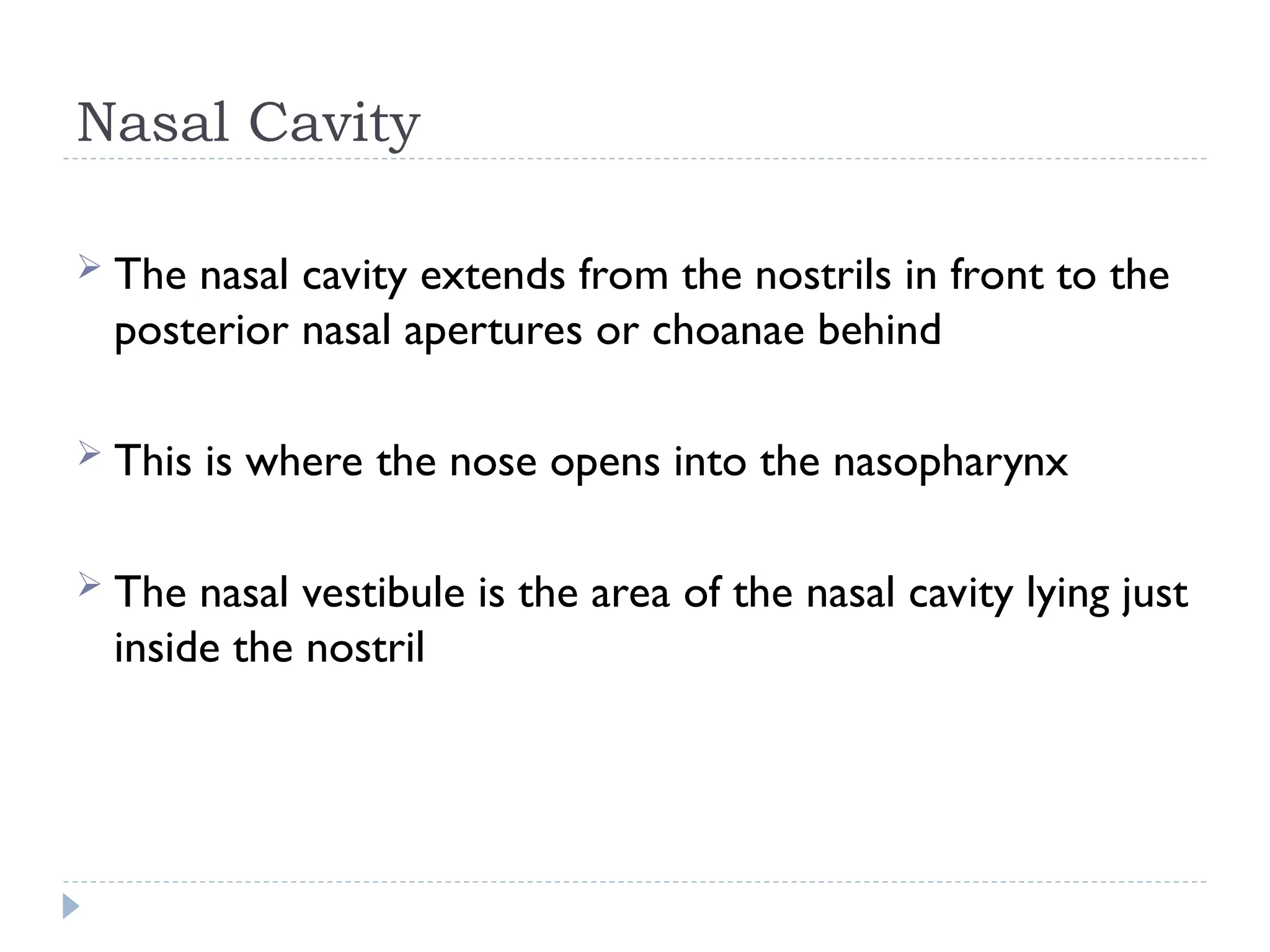 Anatomy of nose Part of ENT structure and it's well labelled | PPT
